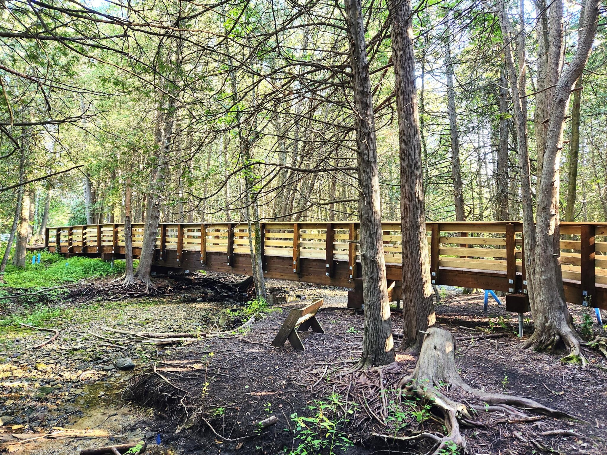 Recreational Bridges | Wheeler
