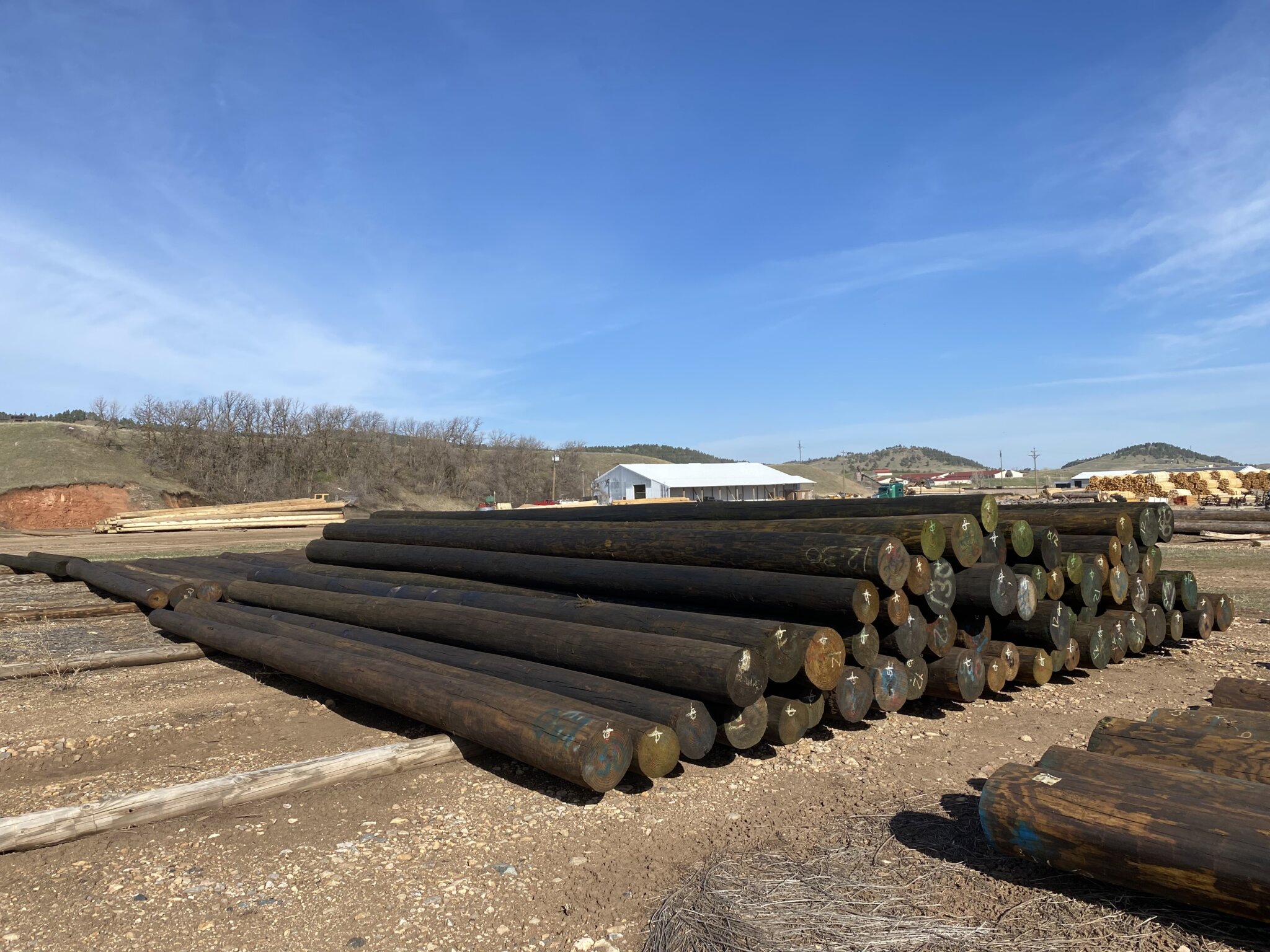 Misc. Bridge Timbers & Piling | Wheeler